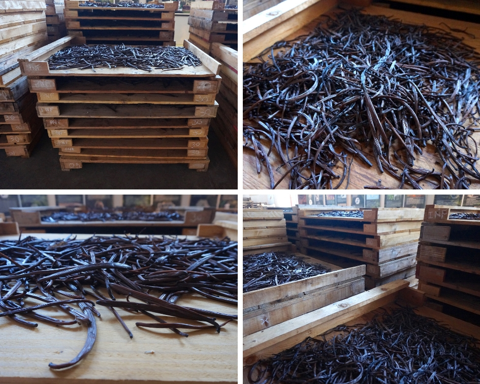 Visiter une vanilleraie à la Réunion - Jolis Circuits